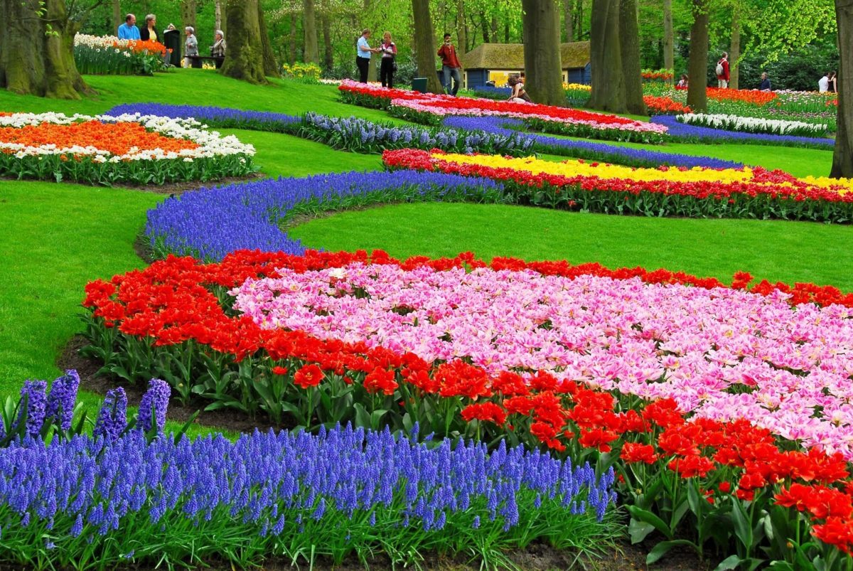 Taman Selecta, Wisata Ngetop di Malang | Pariwisata Indonesia